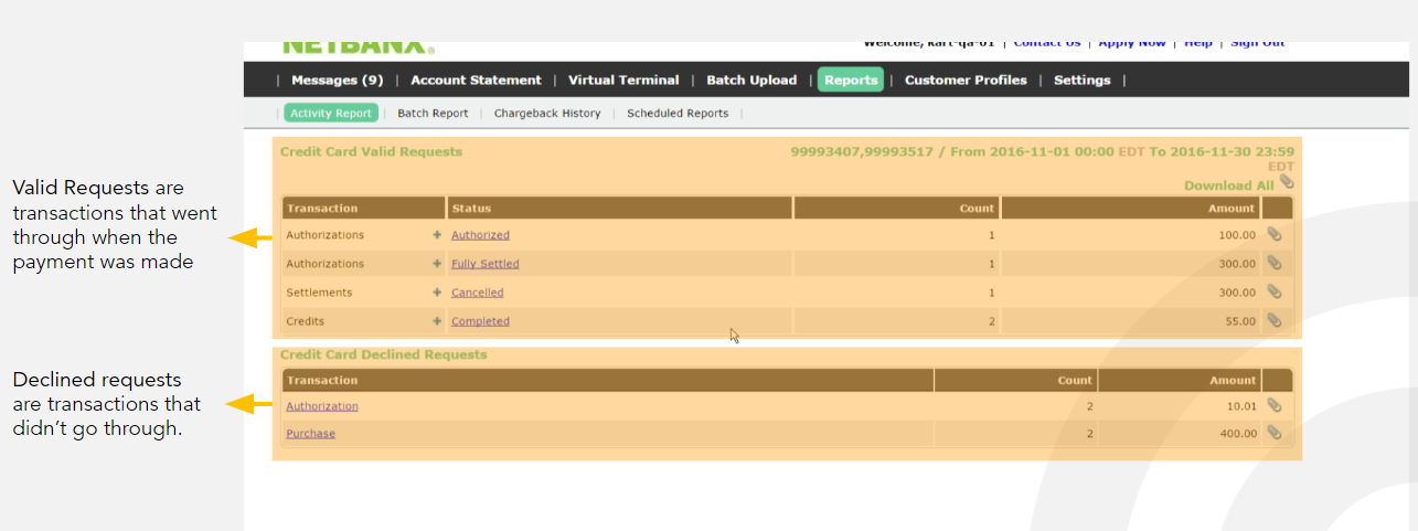 How To Run A Report For Your Paysafe Credit Card Transactions